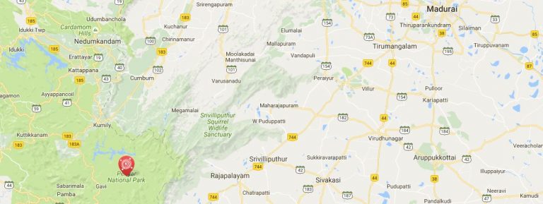 Parque Nacional de Periyar – India | Un Mundo Mejor